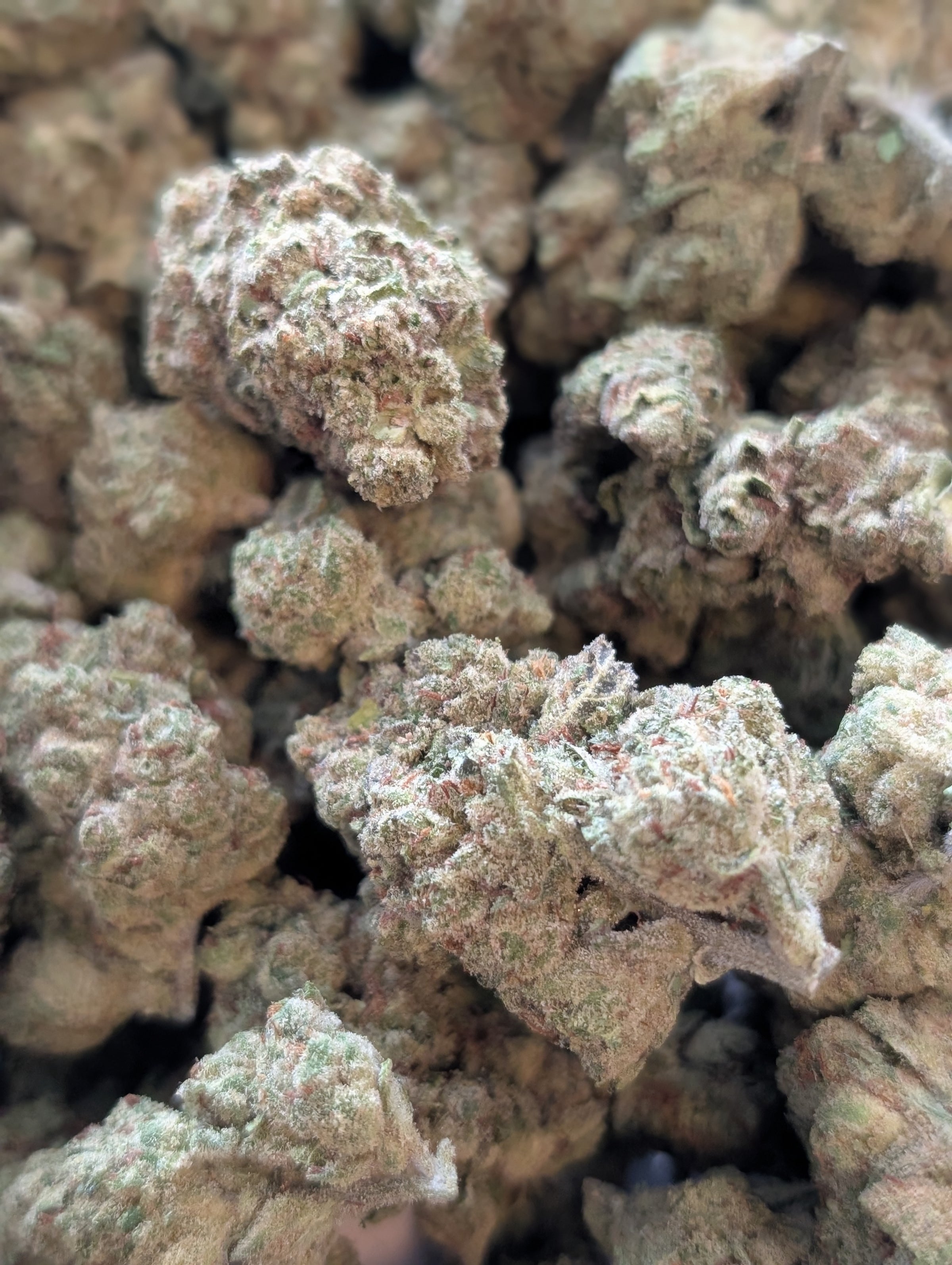 Bulk THCA Pounds | No Coupons Allowed | FREE 2 Day Air EXPRESS SHIPPING ...