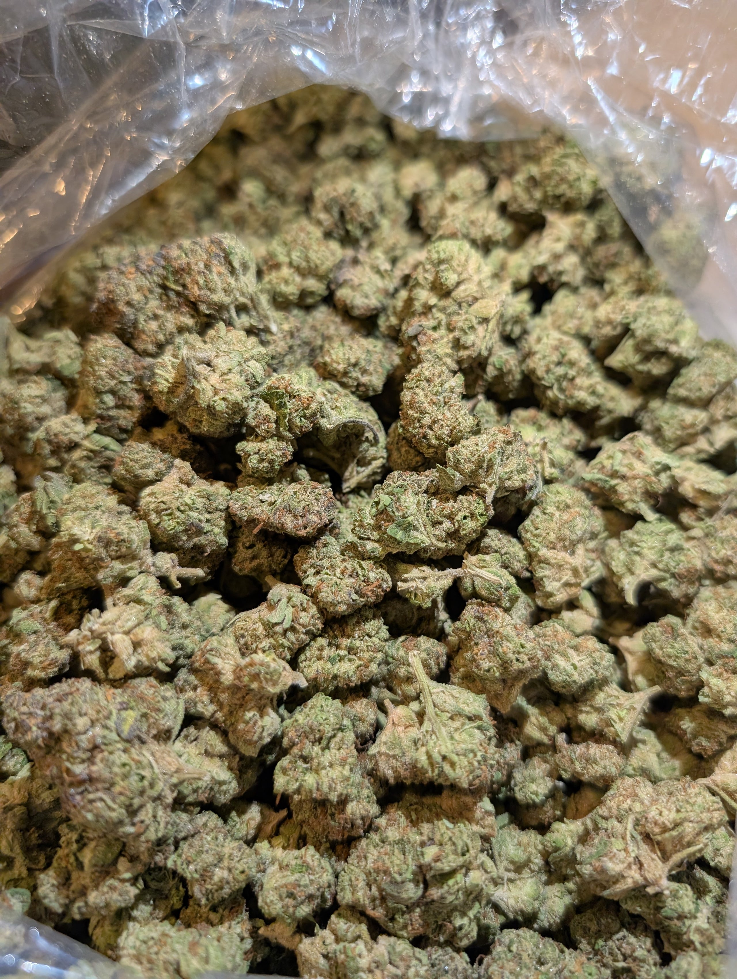 3.5G Buds On A Budget | Cheap THCa Flower 8ths | Call me THCa