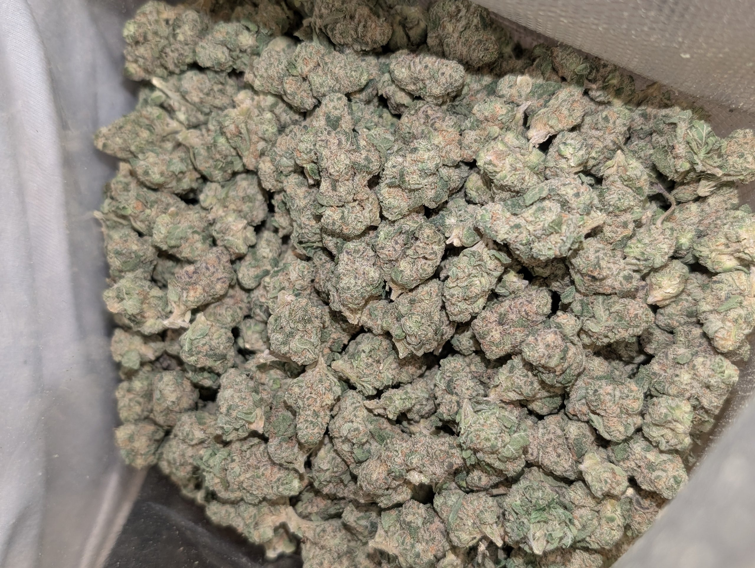 1oz Exotic Mediums SALE | Candy Runtz THCA Flower | Call me THCa 1oz Exotic Mediums SALE | Candy Runtz THCA Flower | Call me THCa
