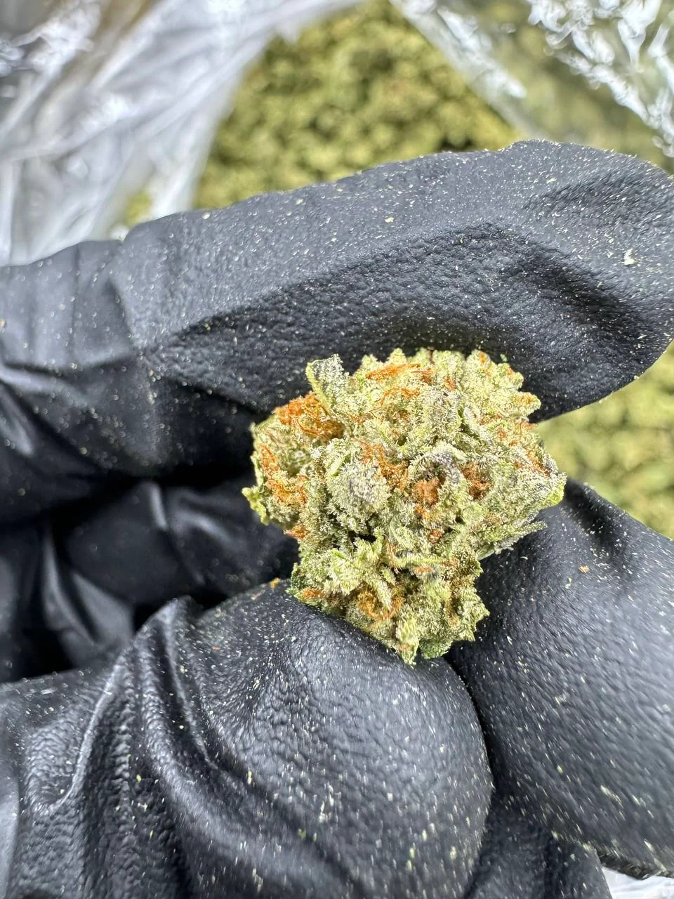 THCA SMALLS | Ice Cream Cake 31.90% THCA | Call me THCa THCA SMALLS | Ice Cream Cake 31.90% THCA | Call me THCa